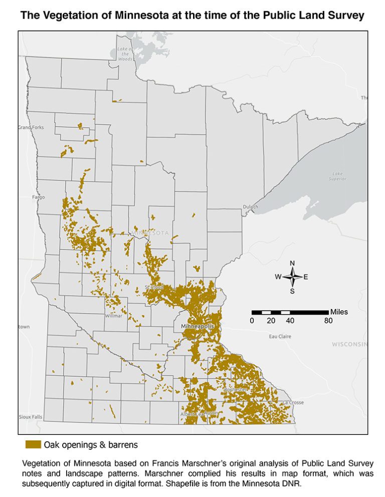 Map of the Vegetation of Minnesota at the Time of the Public Land ...