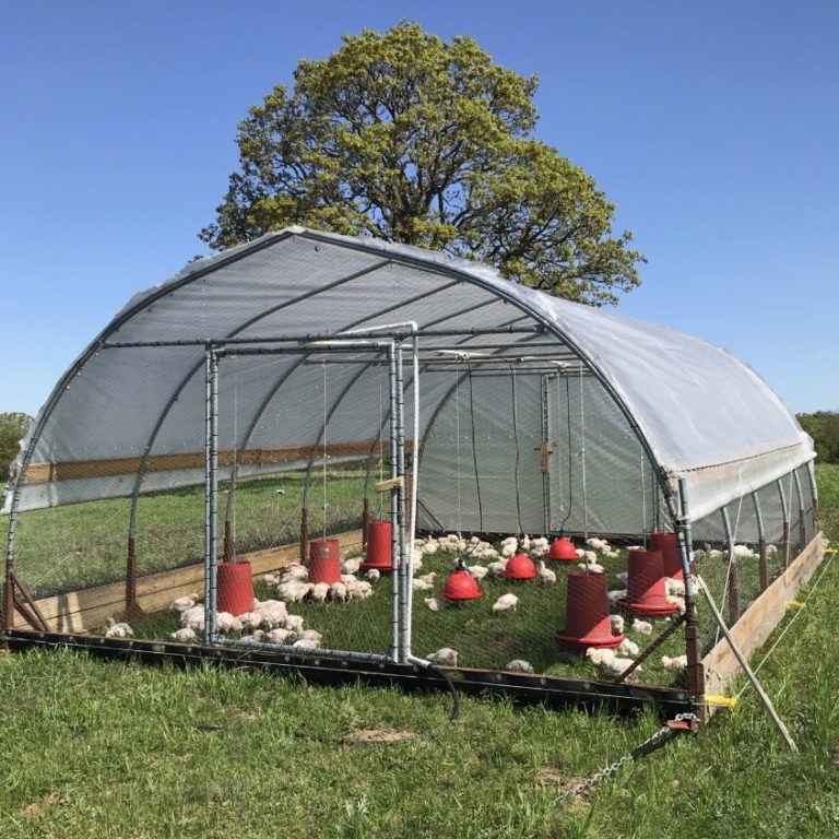 Pastured Poultry Fact Sheet - Sustainable Farming Association