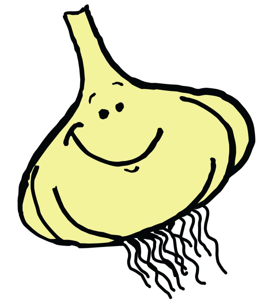 Upper Midwest Premium Garlic Directory - Sustainable Farming Association