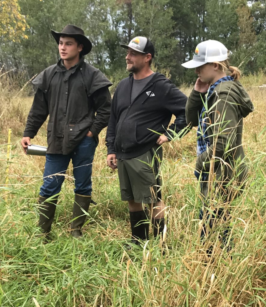 Crow Wing River Basin Forage Council - Sustainable Farming Association