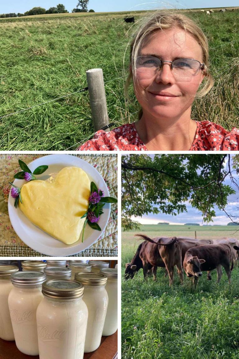 Homesteading Series - Managing a Family Milk Cow & Processing Milk ...